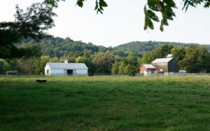 500 Funny Farm Names to Help Your Homestead Stand Out