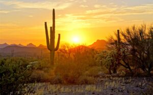 140 Funny Hick Names That Are Pure Southern Sass and Stereotype