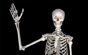 160 Funny Names for Skeletons That Are Spooky, Silly, and Hilarious